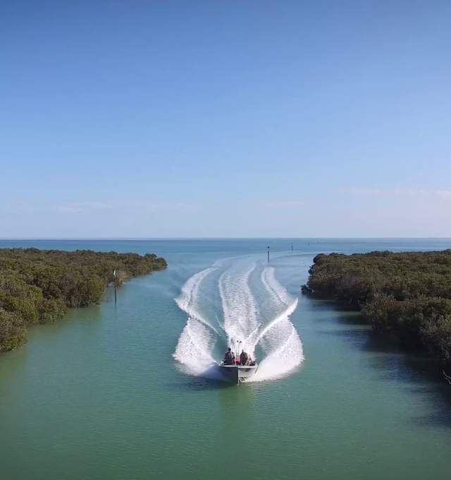 PIRSA – Industry Leaders | Mixed Mediums